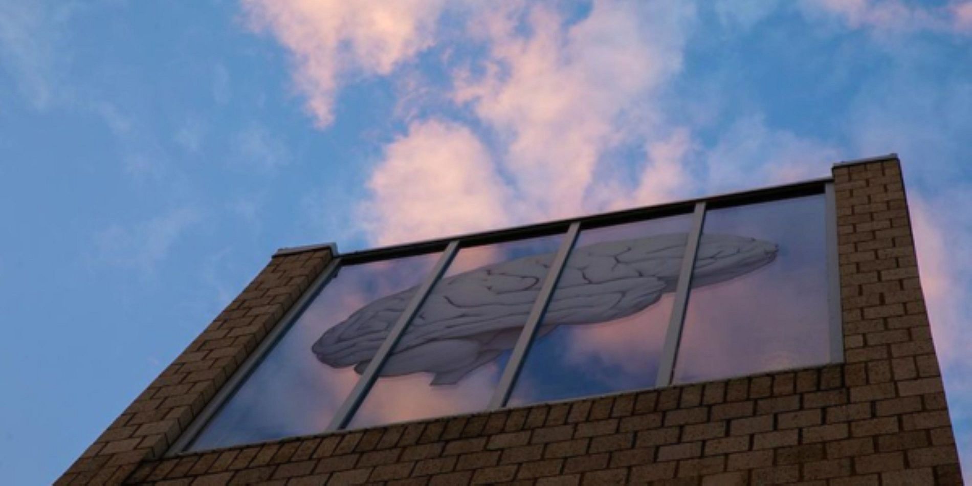 LMS Support | Brightspace | Binghamton University