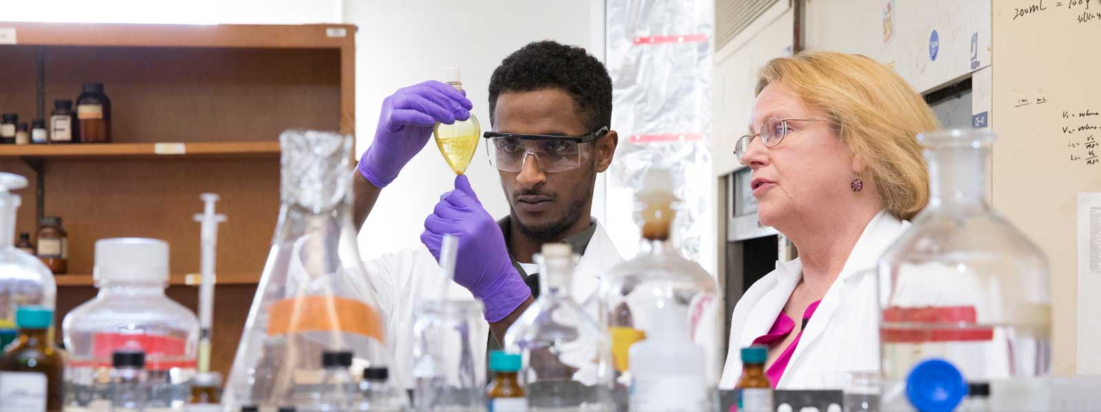 Biochemistry program - Biochemistry and Chemical Biology | Binghamton ...