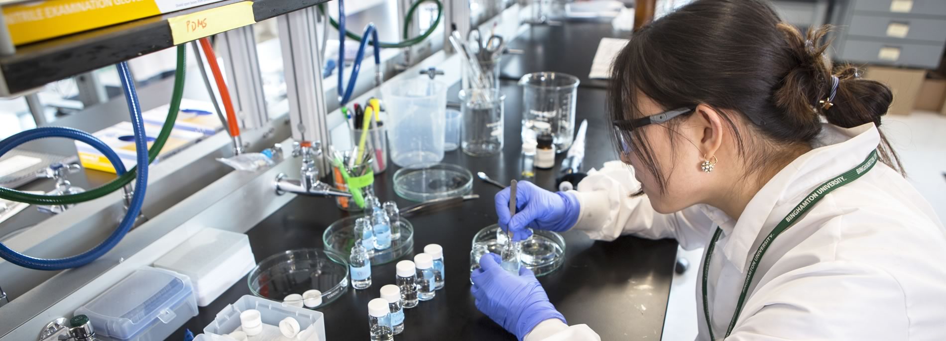 Biomedical Engineering - Undergraduate Admissions | Binghamton University