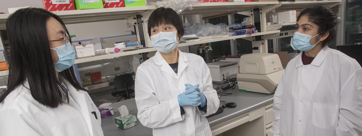 Tissue and Biomolecular Engineering Laboratory | Binghamton University