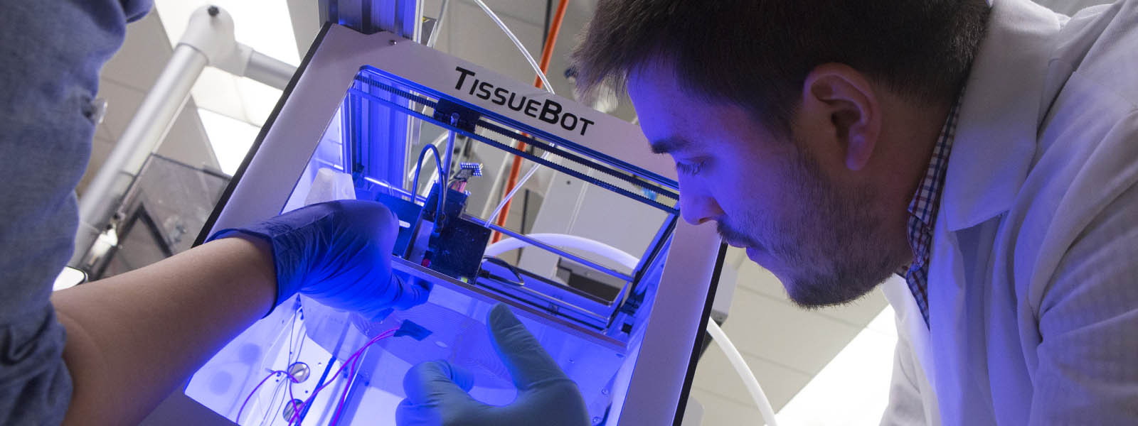 Biomedical Engineering Minor | Department of Biomedical Engineering ...