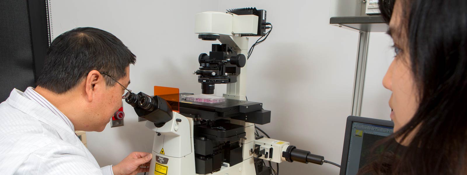 REU Faculty Mentors | REU – Biomedical Translational Science ...