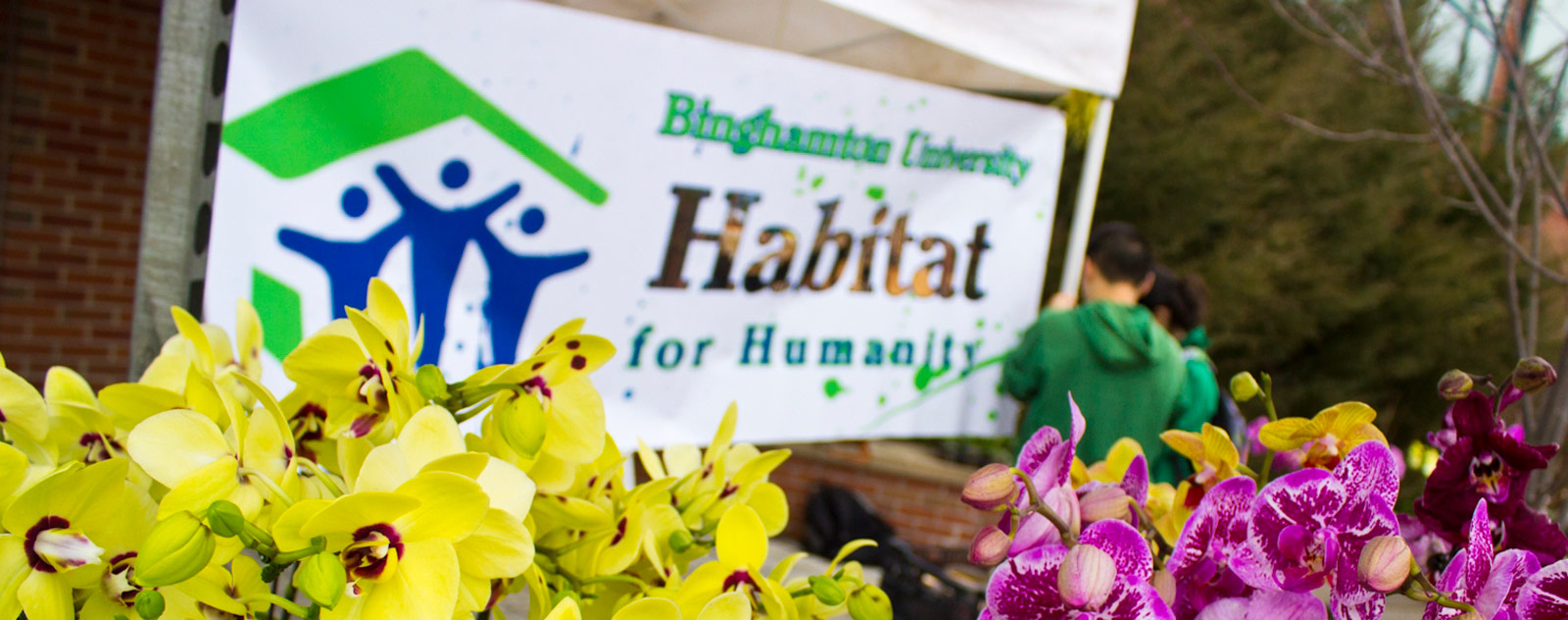 Volunteer Spotlight: Habitat for Humanity | Center for Civic Engagement ...