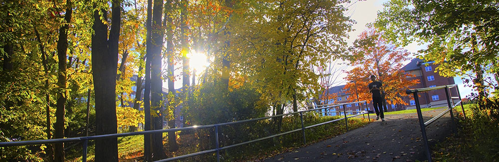 Updating your faculty page | Website Resources | Binghamton University