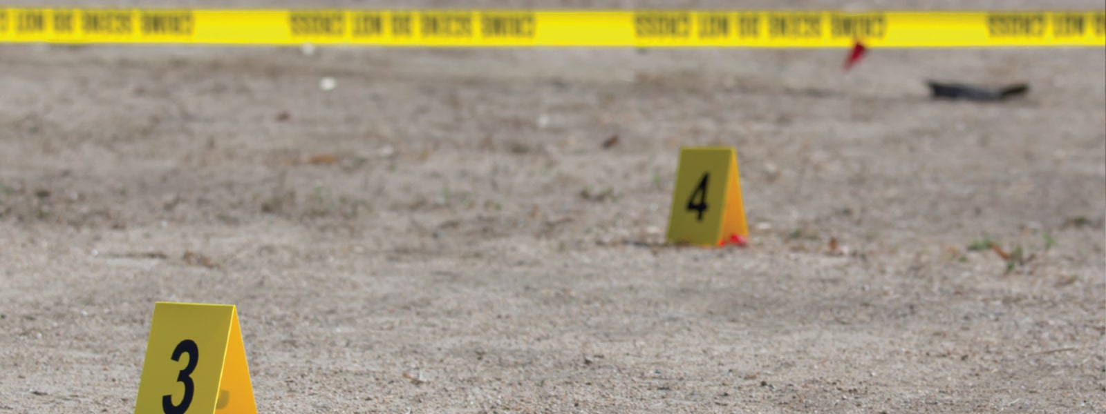 Advanced Certificate in Forensic Health | Nursing | Binghamton University