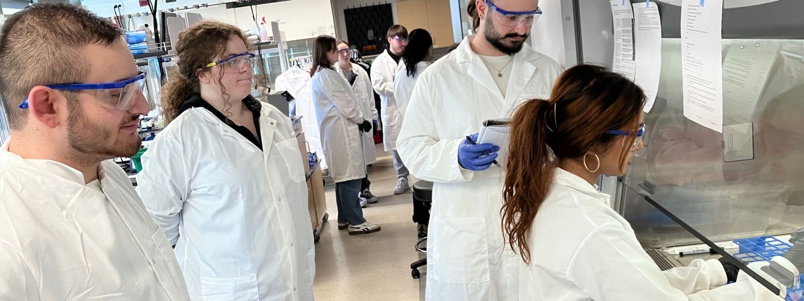 Drug Discovery | First-year Research Immersion | Binghamton University