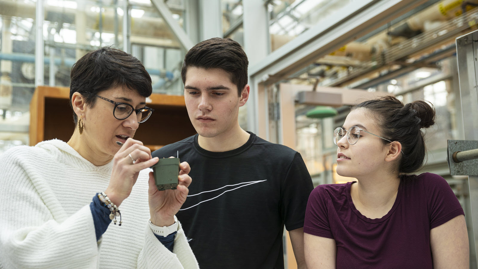 Ecological Genetics Student Research Projects | First-year Research ...