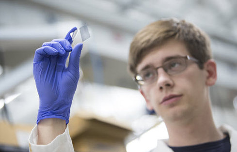 Harpur College of Arts and Sciences | Binghamton University