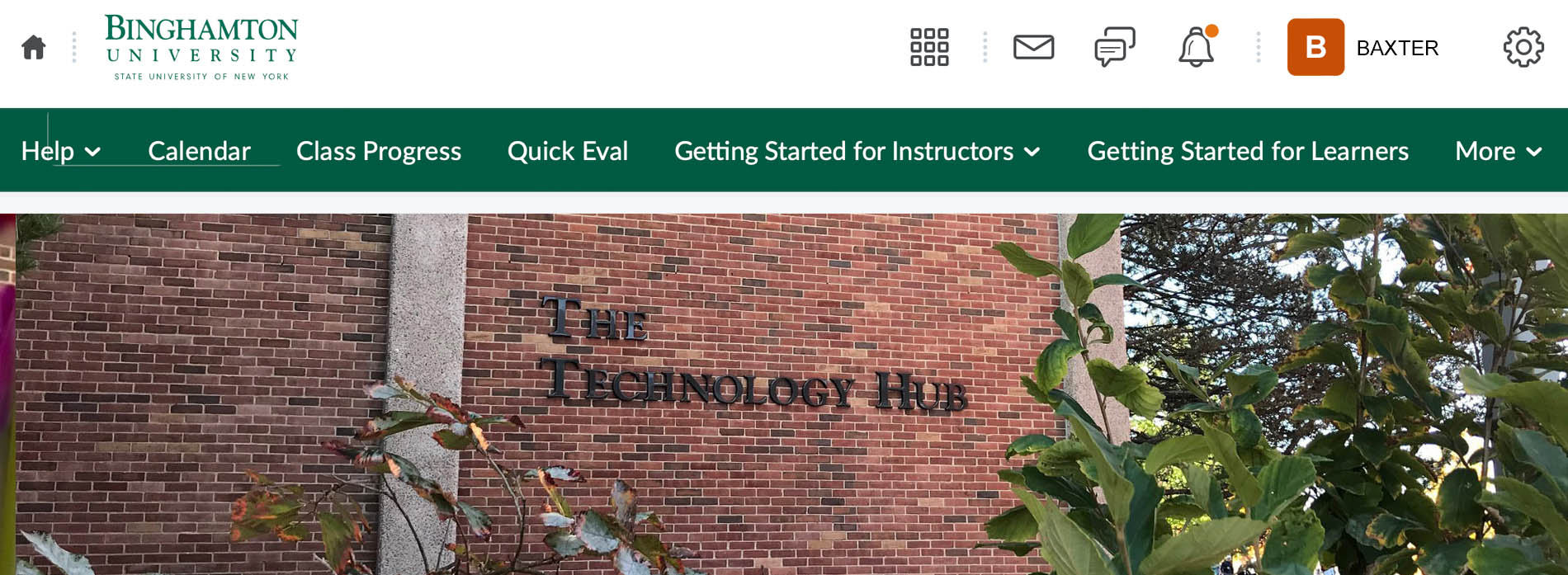BU Brain (SSB) | Information Technology Services | Binghamton University