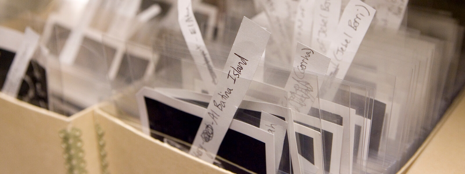 Digital Preservation Policy - Libraries | Binghamton University