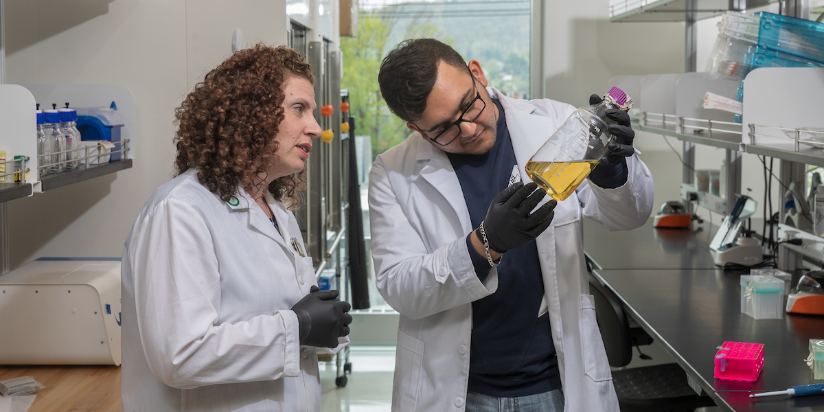 Capstone research projects: Preceptors play a key role | Binghamton News