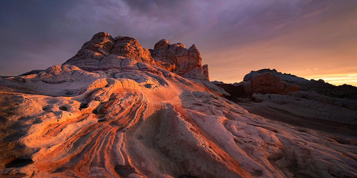 Science Photography Contest