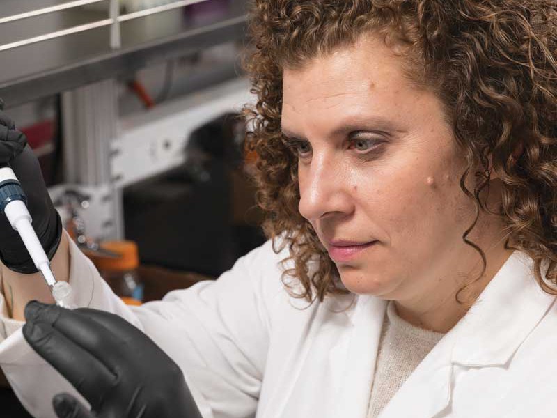 Research rewards - Binghamton News