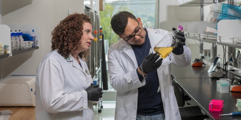 Capstone research projects: Preceptors play a key role | Binghamton News