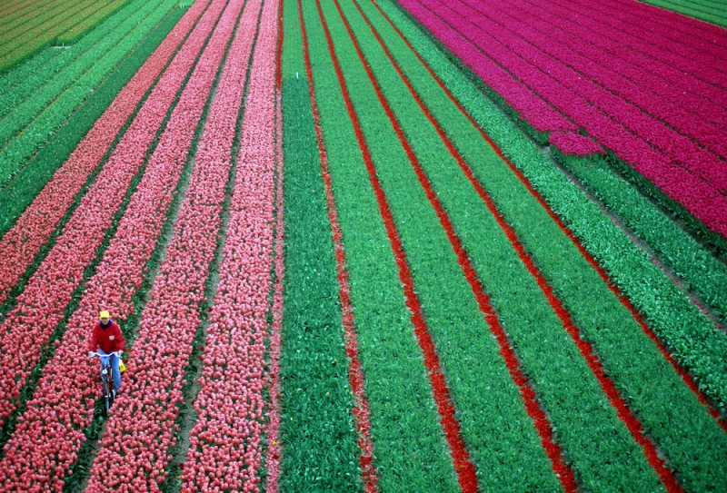 Binghamton University Art Museum to open winter exhibitions with ...