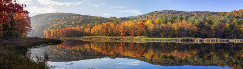 The Ultimate Fall Foliage Guide for Binghamton and Beyond - Binghamton News