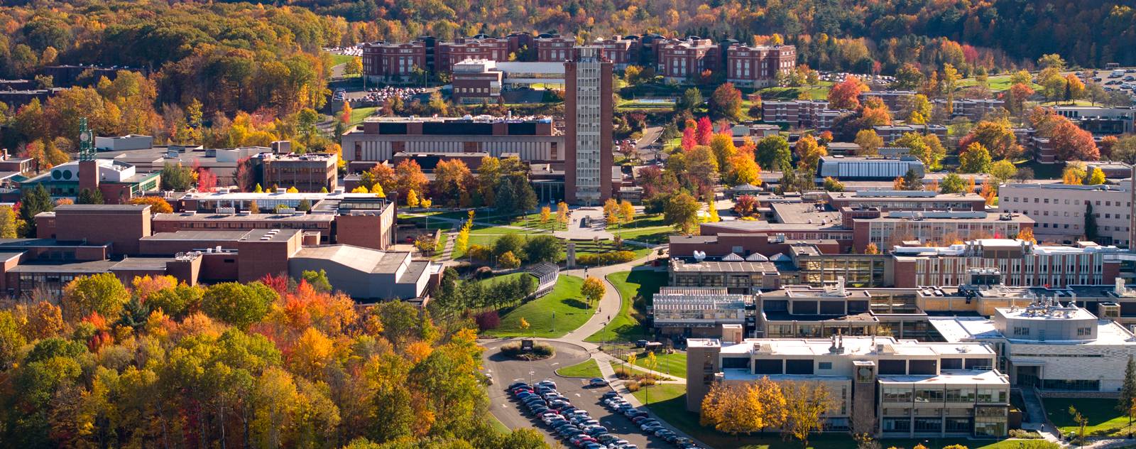 Employee Engagement | The Office of Talent and Engagement | Binghamton ...