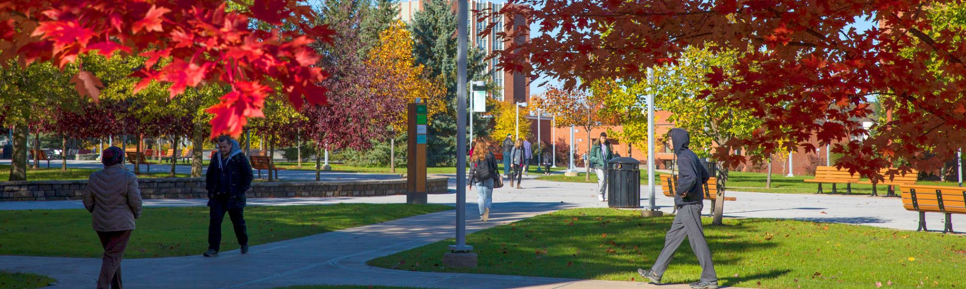 Consultations | Employee Assistance Program | Binghamton University