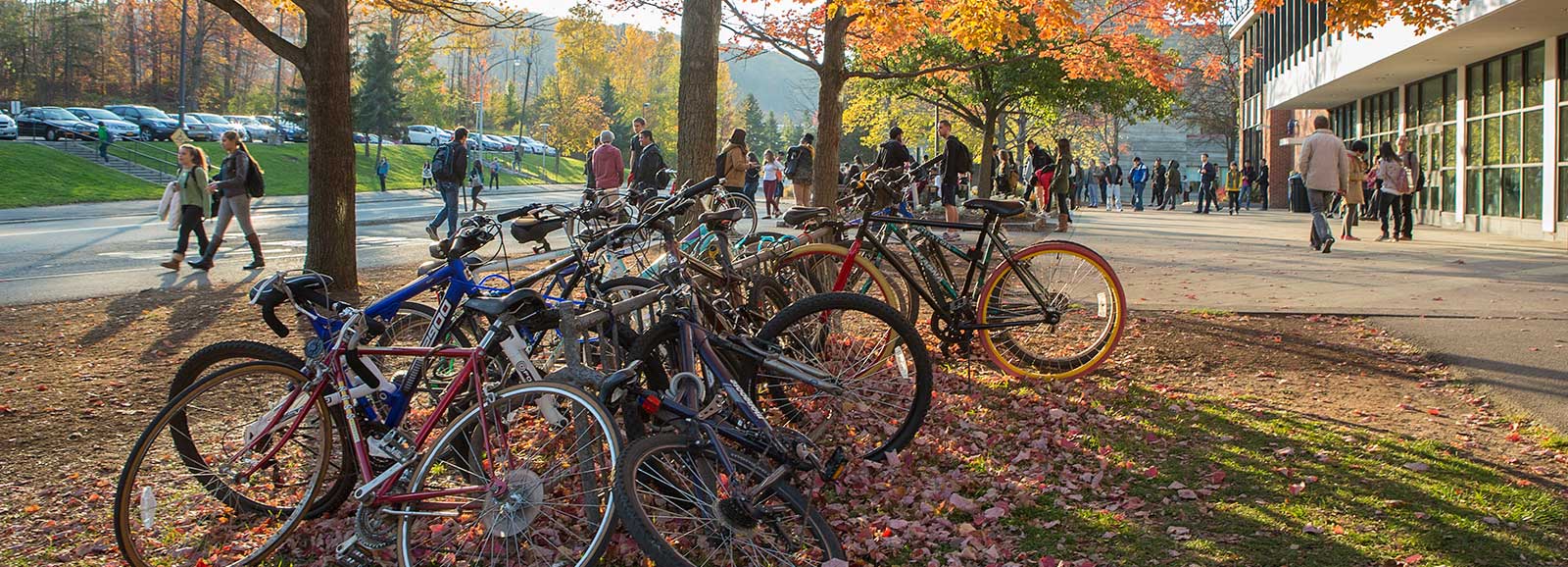 Alternative Transportation | Transportation and Parking Services ...