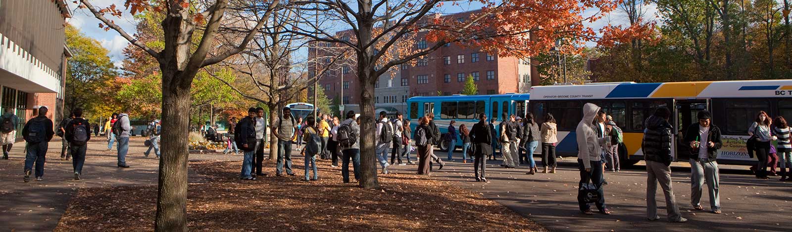 Buses and Shuttles | Transportation and Parking Services | Binghamton ...